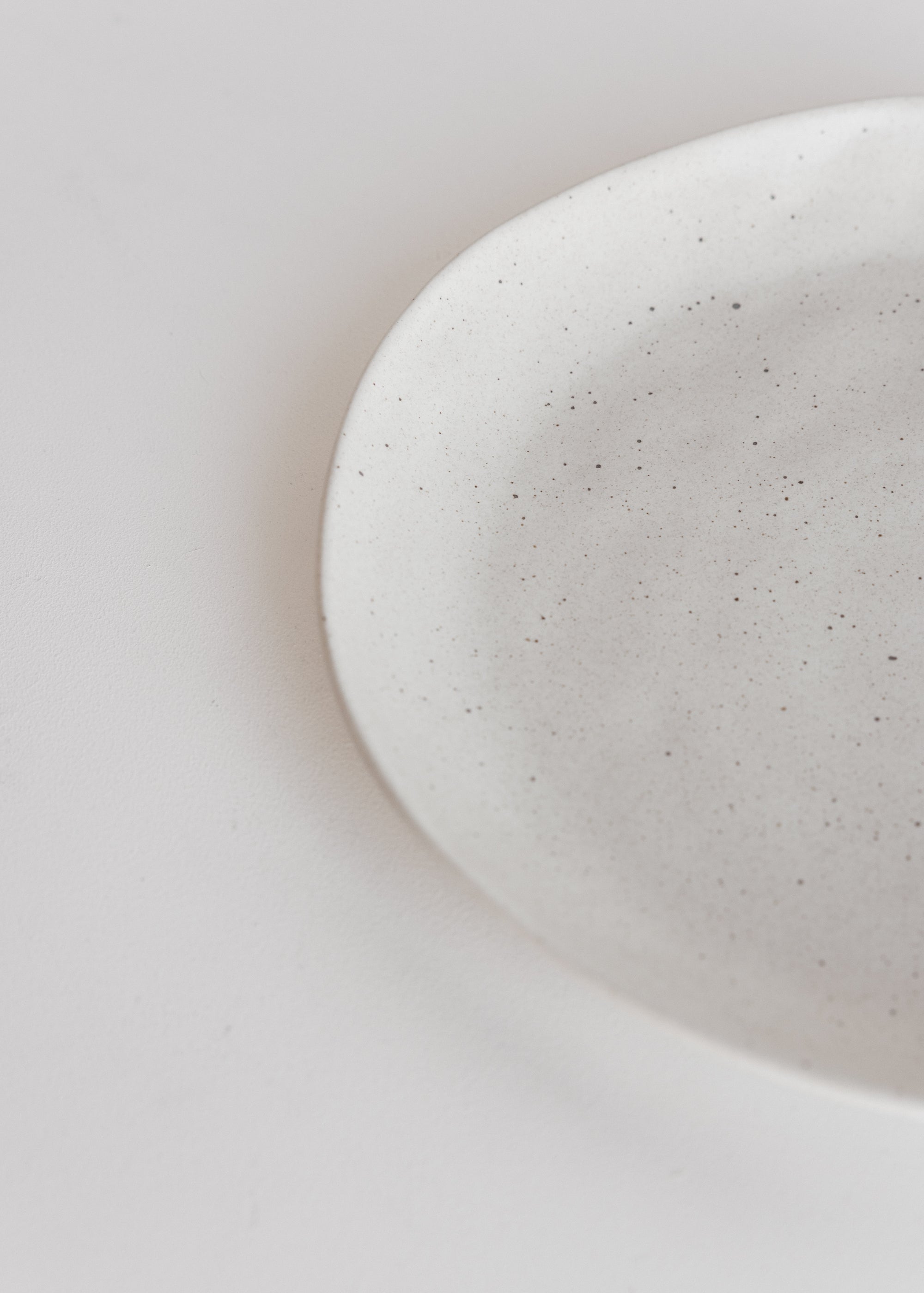 Earth Dinner Plate / Natural