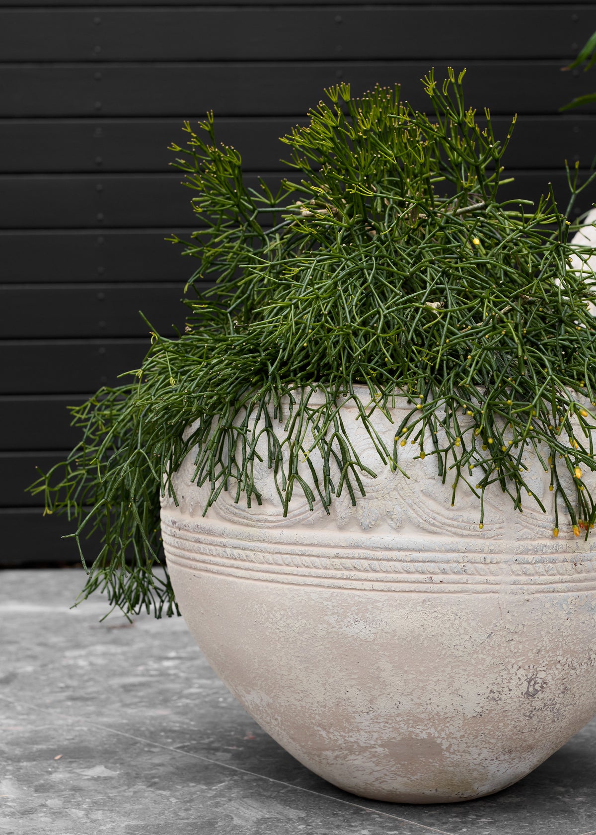 Sumela Antique Pot | Traditional Kiln Fired Pots & Planters | Kayu Studio